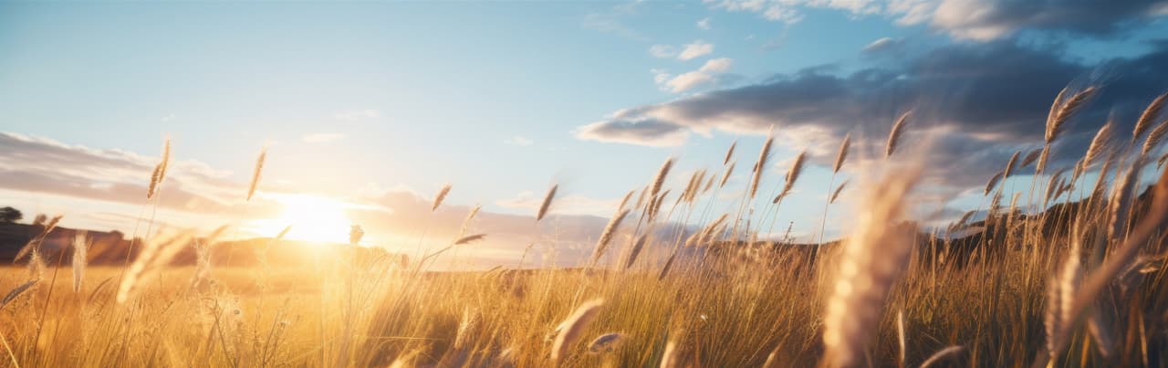 Obituary, Visitation & Funeral Information | Sawyer Lee Updike